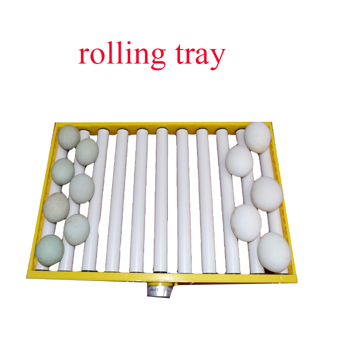 Egg Incubators - Efficient Hatching Solutions for Poultry