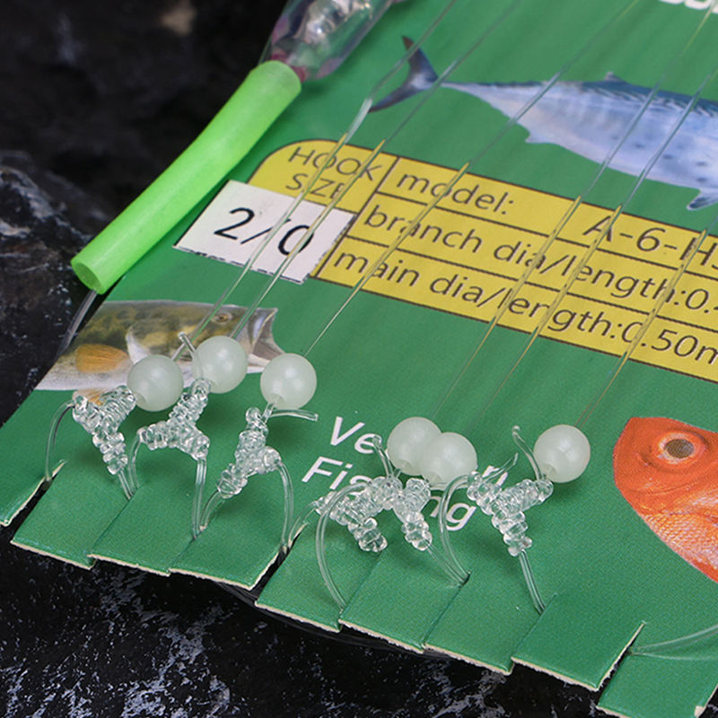 How to Choose the Best 2 Hooks Sabiki Rig for Fishing Success