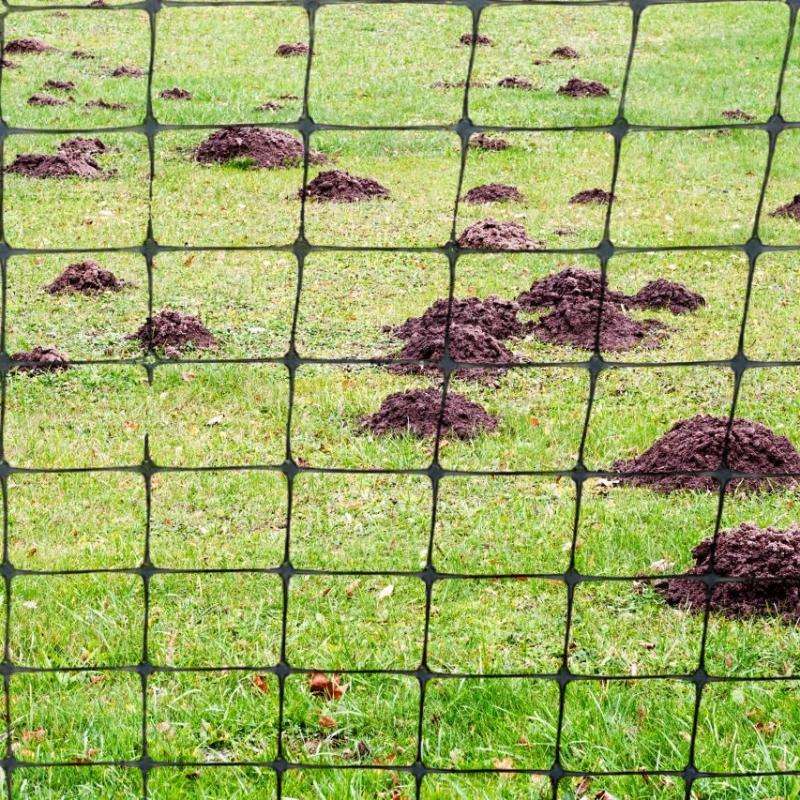 Factory Supply Anti Mole Net PP+UV Stabilized Mesh Customizable Sizes ...