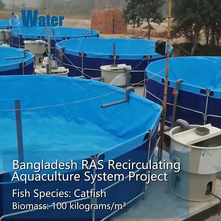 Integrated Water Treatment for Indoor Aquatics Success