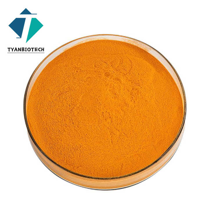 Top Quality Dried Cheddar Cheese Powder - 99% Assay, Food Grade, Ideal ...