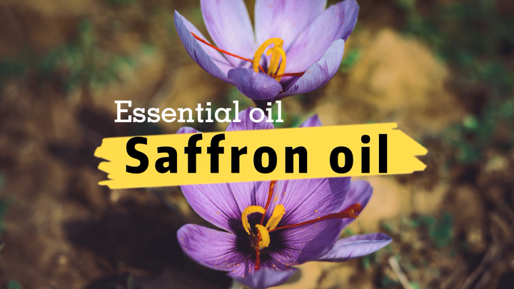 HL 100% Pure Organic Essential Oils - Saffron Absolute Oil