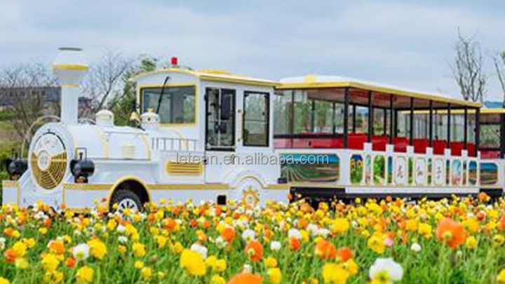 Customized Sightseeing Trains Amusement Equipment Locomotive Diesel ...