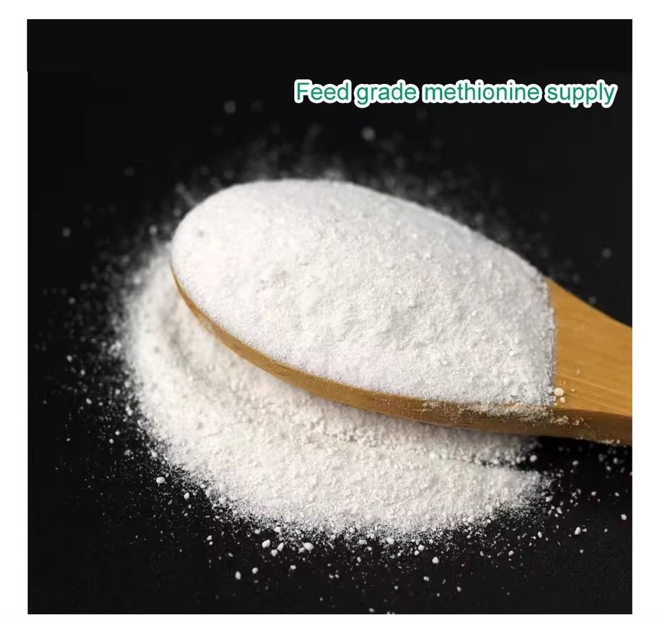 Bulk Dl-Methionine Powder - 99% L-Methionine for Poultry Feed