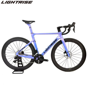 Buy Carbon Aero Road Frame T800 | Premium Lightweight Racing Frames