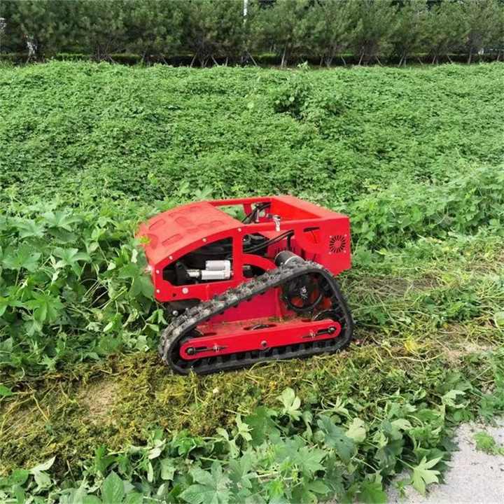 Remote-Controlled Robotic Lawn Mower for Grass Cutting - OEM Options ...