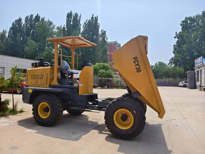 Famous Brand CE/ISO Hydraulic Steering and Tipping Systmem 3 Ton SITE ...