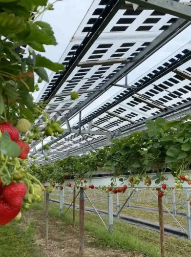 Buy solar system 500kw cost | Commercial Energy Storage