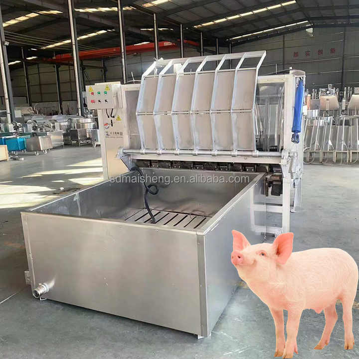 Pig Hair Removal Scalding De-hairing Machine for Slaughterhouse 60 ...