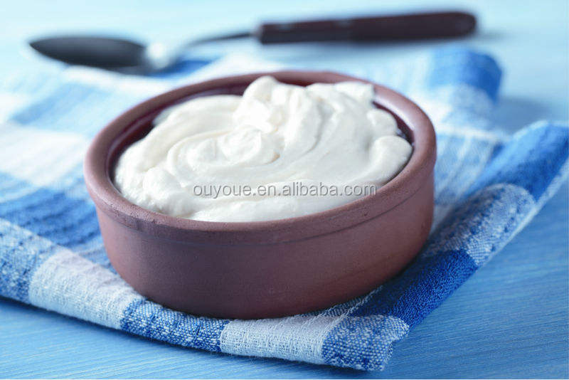 Portable Greek Yogurt Maker - Stainless Steel Quality