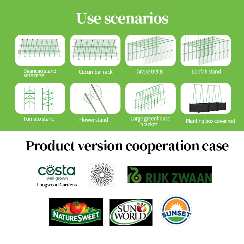 How to Choose the Best Column Support Plant for Your Needs