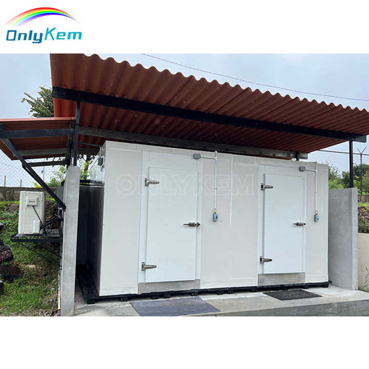 Ice Cream Freezer Storage Cold Room Fridge Cool Room Warehouse For ...
