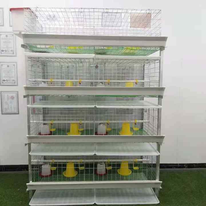 Automatic Chicken Breeding Equipment - Galvanized Cages