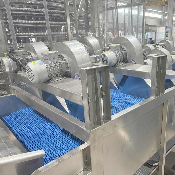 Belt Air Blow Drying Dehydrating Machinery for Fruits & Vegs