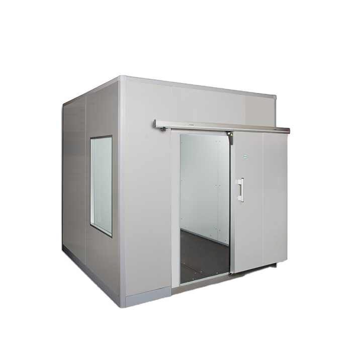 Large Cold Storage Refrigerator Freezer Room with Condensing Unit Prices