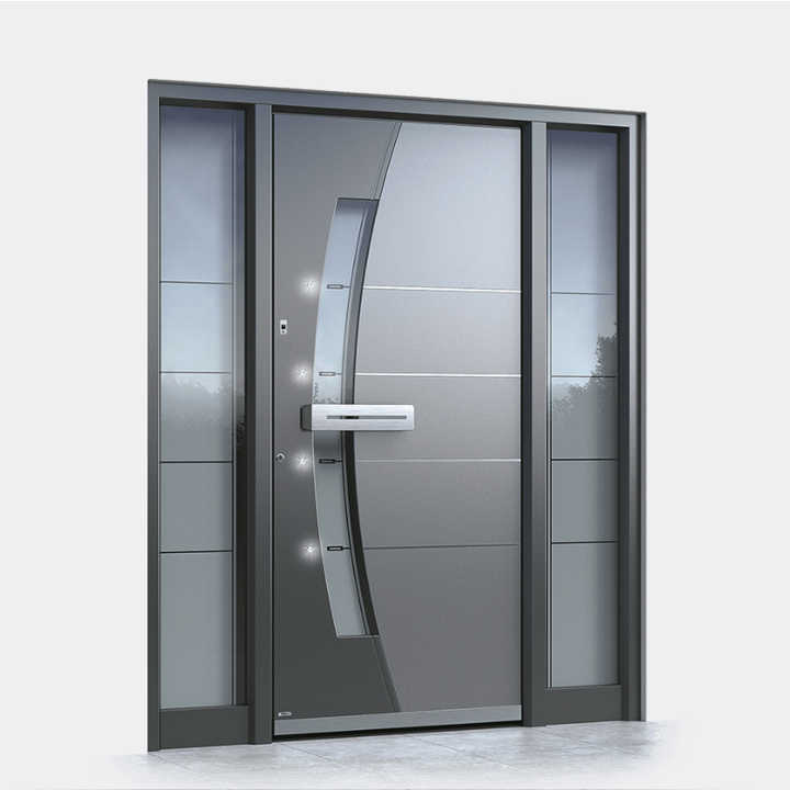 Luxury Stainless Steel Security Door - Modern Pivot Design