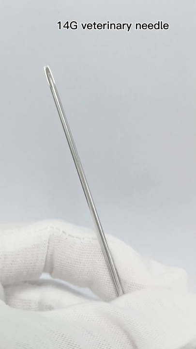 High Quality Intravenous Injection Stainless Steel Needle for Animal ...