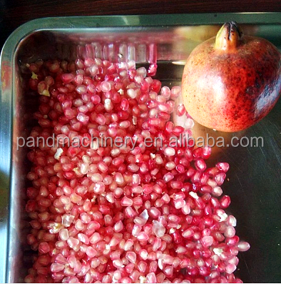 Fruit Seed Separator Machine Pomegranate Seed Removing Machine Passion ...