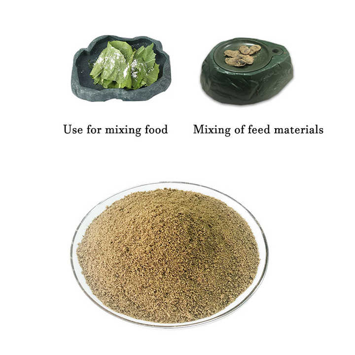 Dried Black Soldier Fly Larvae Powder Versatile Worm Supplement For ...