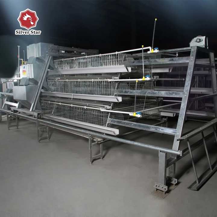 Automatic Broiler Breeding Equipment - Efficient Chicken Coops