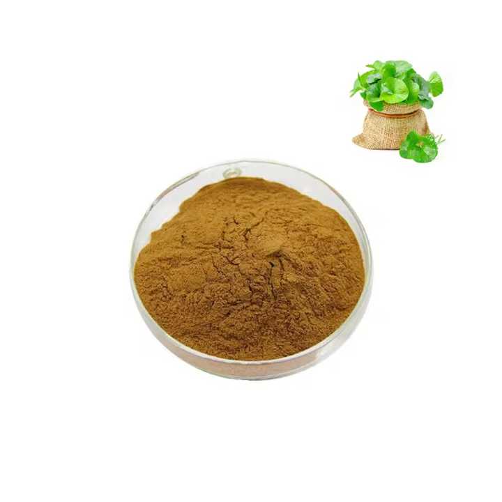 100% Natural Herbal Extract Centella Asiatica Extract Gotu Kola Extract ...