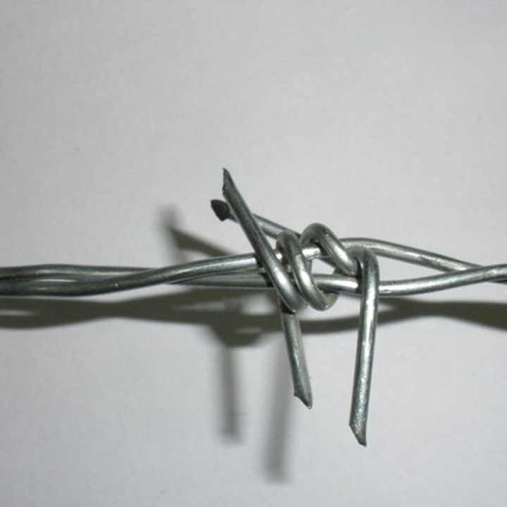 Galvanized Barbed Rope Directly barbed Wire| Alibaba.com