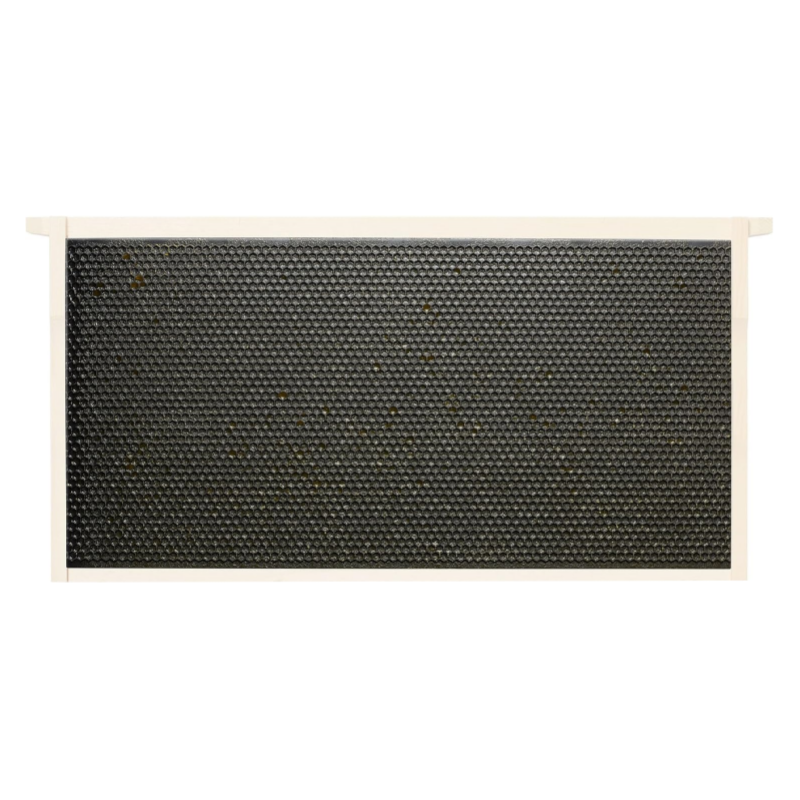 20-Pack Complete Assembled Wooden Deep Langstroth Beehive Frames with ...
