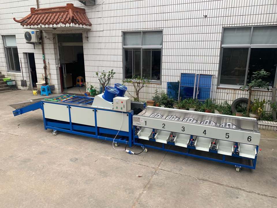 Special Fruit and Vegetable Clean Machine Vegetable and Fruit Cleaning ...