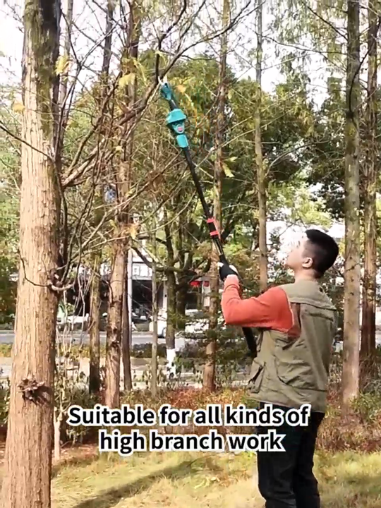 Professional 21v Electric Telescopic Pole Chain Saw for Wood Cutting