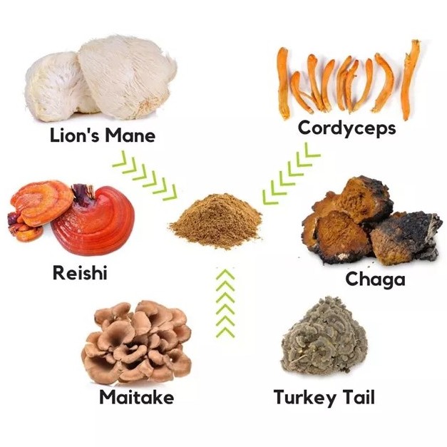 How to Choose Dry Herbs Bulk: A Complete Buyer's Guide