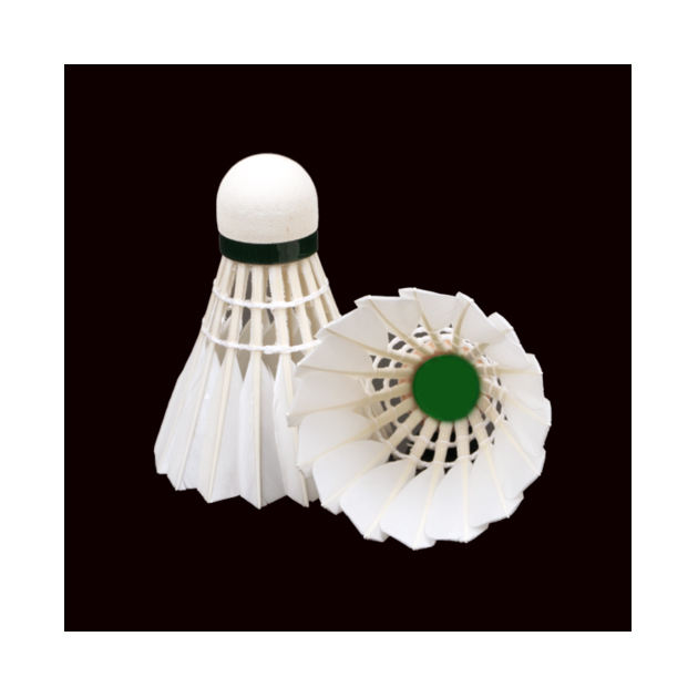 How to Choose Cheap Shuttlecock Badminton Training Equipment