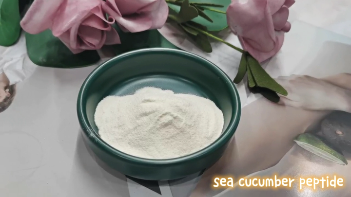Sea Cucumber Extract Powder 10:1 | Herbal Extract for Food Applications ...