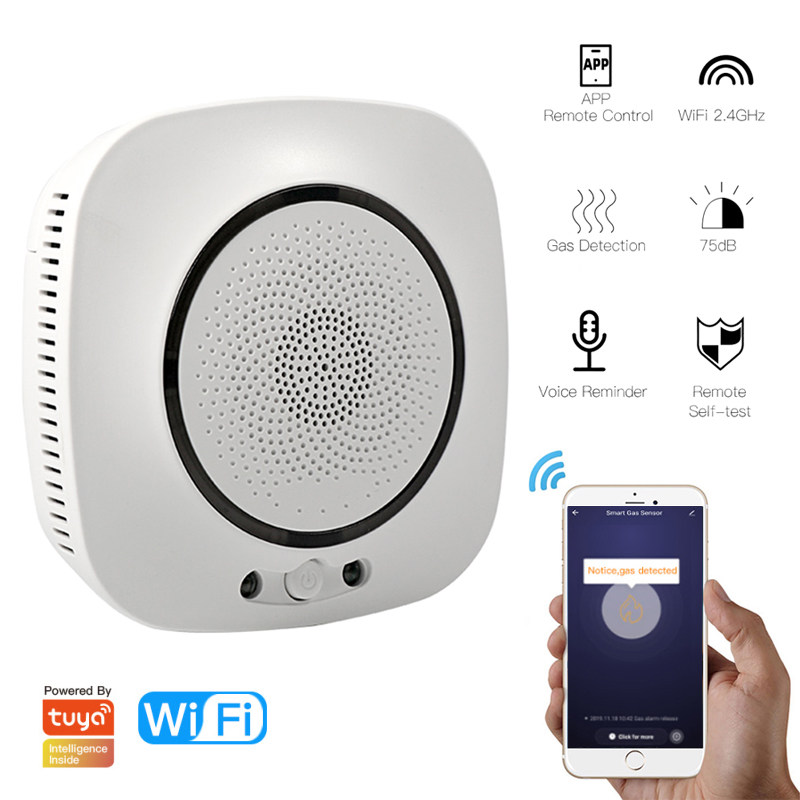 220V Gas Detectors - Reliable Leak Solutions for Every Kitchen