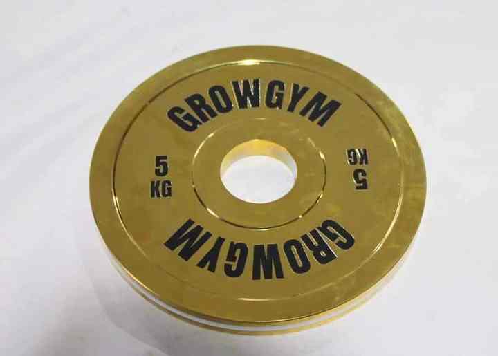 Gym Home Bumper Discs Gym Weightlifting Barbell Plates Weight Plates ...