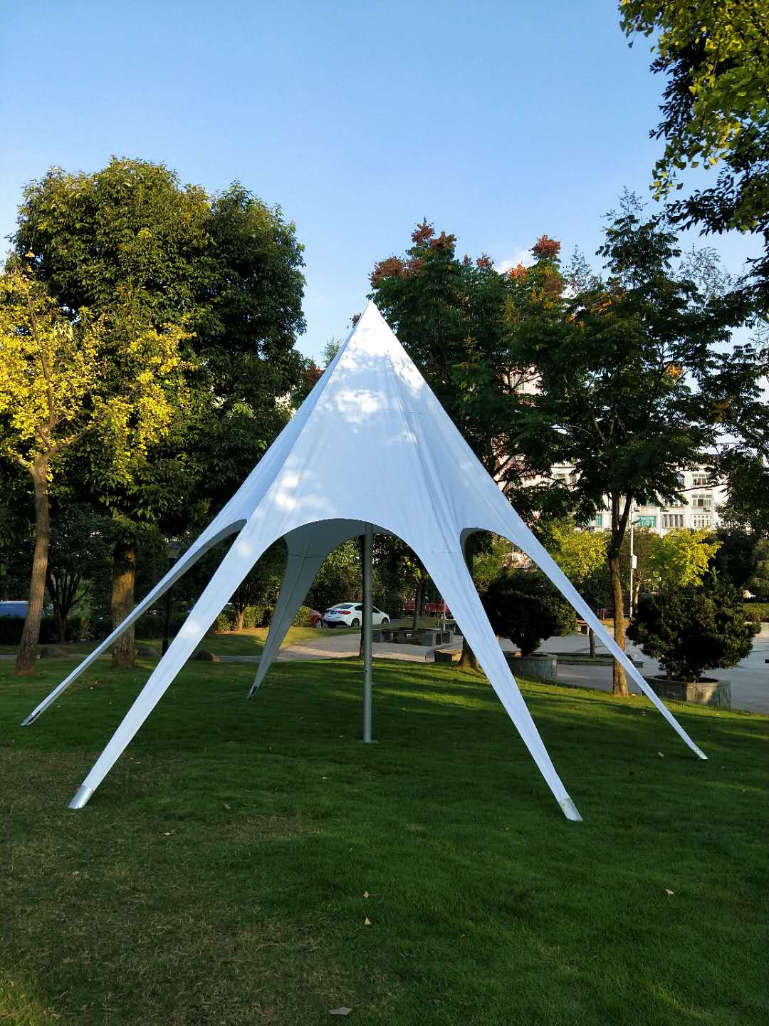 Supply Star Canopy Tent Star Marquee Star Tent Wholesale Factory - DD ...