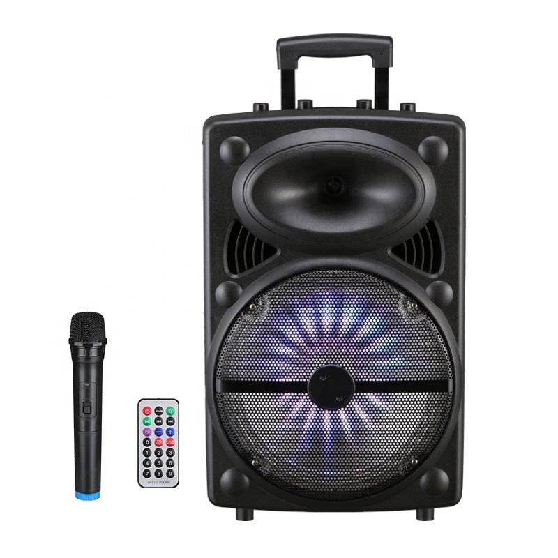 Alto Falante De 12 Corneta Amplificada - Portable Speaker