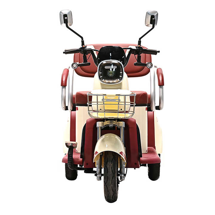 Mini 3-Wheel Electric Scooter for Adults Open Body Camper Tricycle From ...