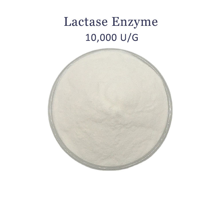 Lactase Enzyme Powder - High Activity for Dairy Products