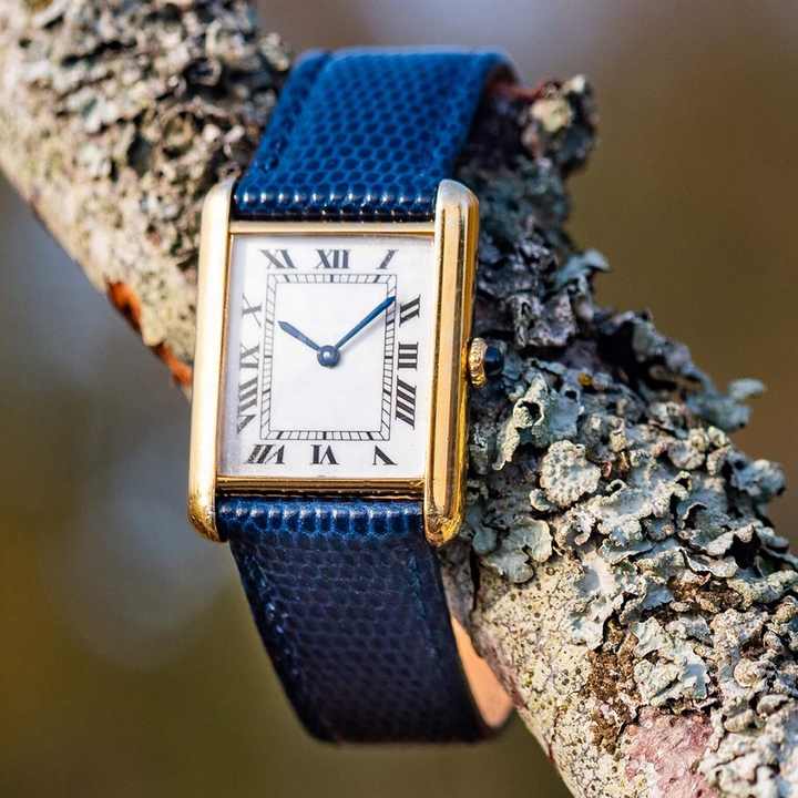 Ladies Luxury Real Lizard Leather Band Wrist Classic Tanks Square Lady ...