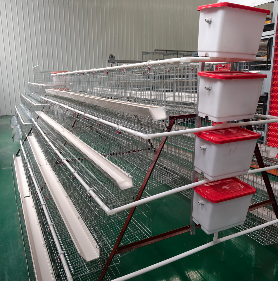 In Stock Sample Available Chicken Cage Chicken Coop Large H Type ...