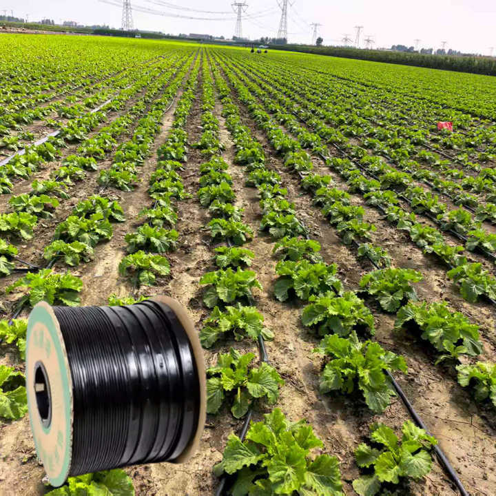 High Quality PE Drip Irrigation Systems Source Factory Farm Irrigation ...