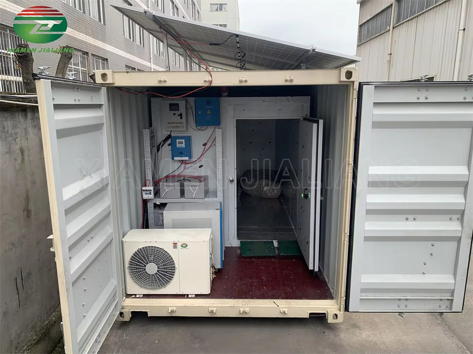 Container Cold Room Walk-In Chiller Freezer 20ft 40ft Custom Solar ...