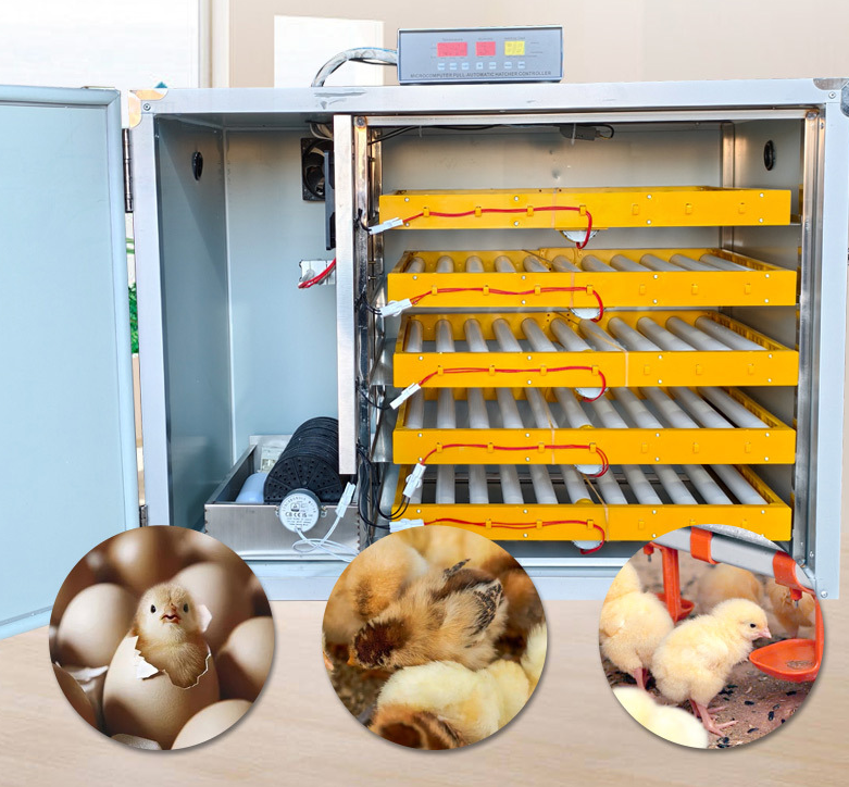 Easy Maintenance Perfect Egg Hatcher Incubator for Eggs Commercial ...