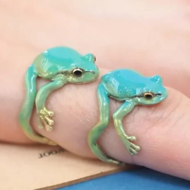 How to Choose the Best Animal Ring for Your Needs