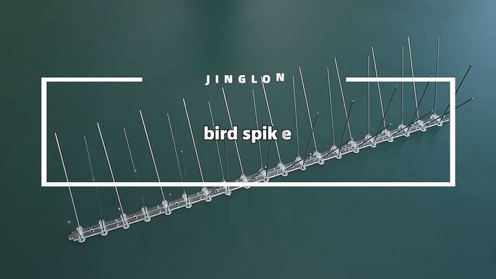 Effective Bird Pest Control - Transparent Polycarbonate Spikes