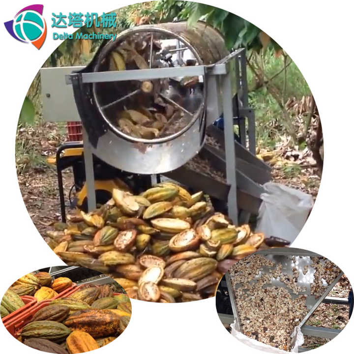 Fresh Cocoa Pod Splitter Breaker Cutter with Automation System and ...
