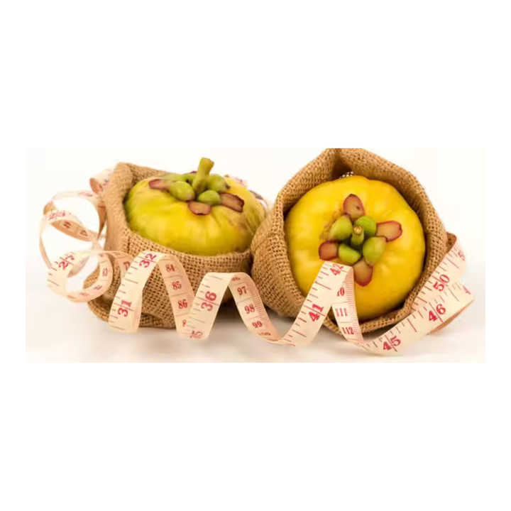 Factory Customizable Natural Garcinia Cambogia Extract 50% HCA Powder ...