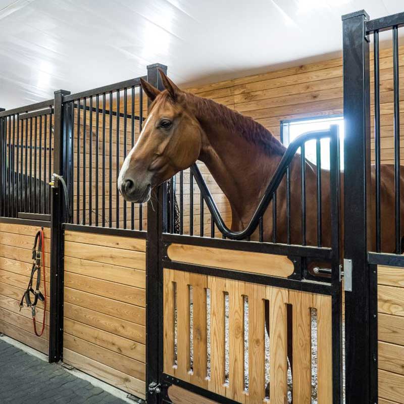 How to Choose the Best Outdoor Horse Stable: A Complete Buying Guide