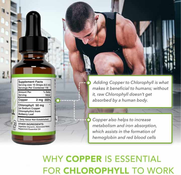 Private Label Liquid Chlorophyll Water Herbal Extract Chlorophyll Drops ...