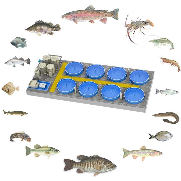 Tilapia Fish Farming Equipment